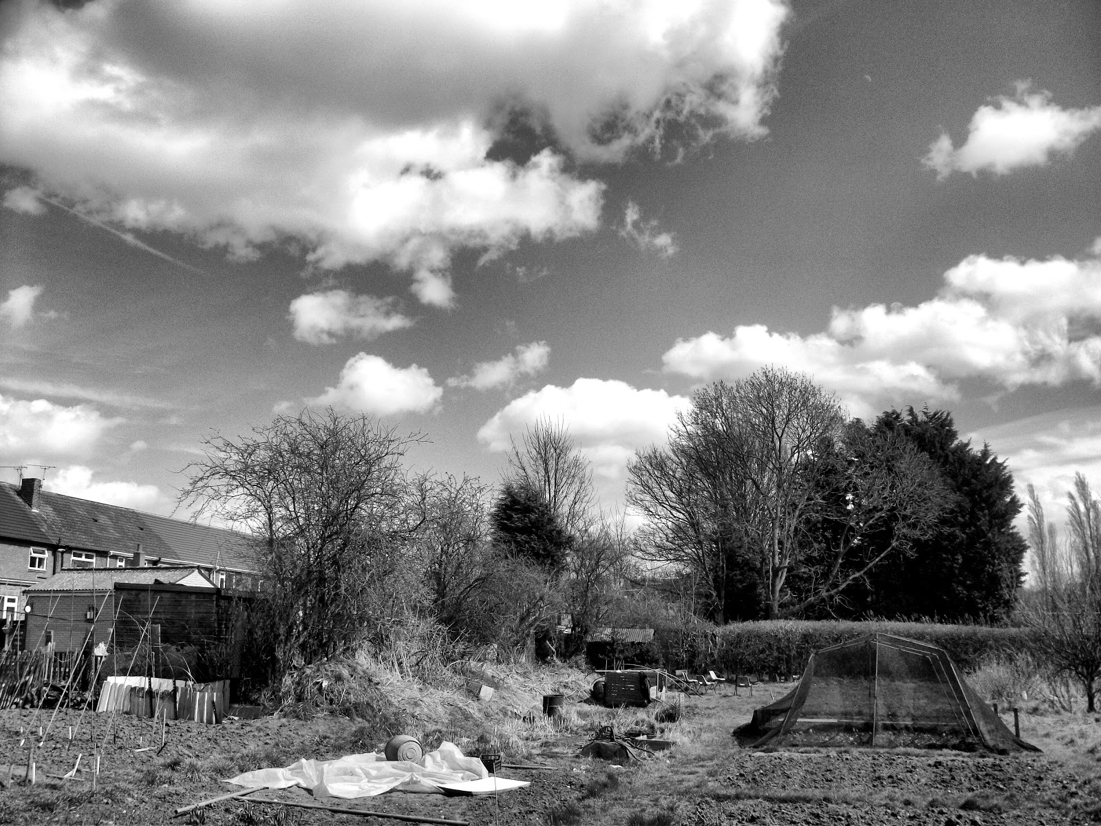 Andrew Lucas Photography