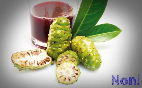 Noni: Usos y Dosificación ~ Manten tu Salud Fortaleciendo tu Sistema Inmune