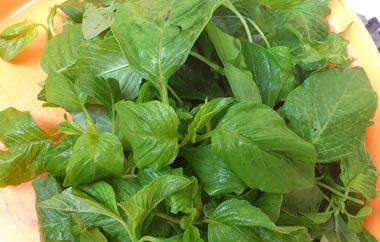 Khmer Fruits Supply: Khmer Vegetable