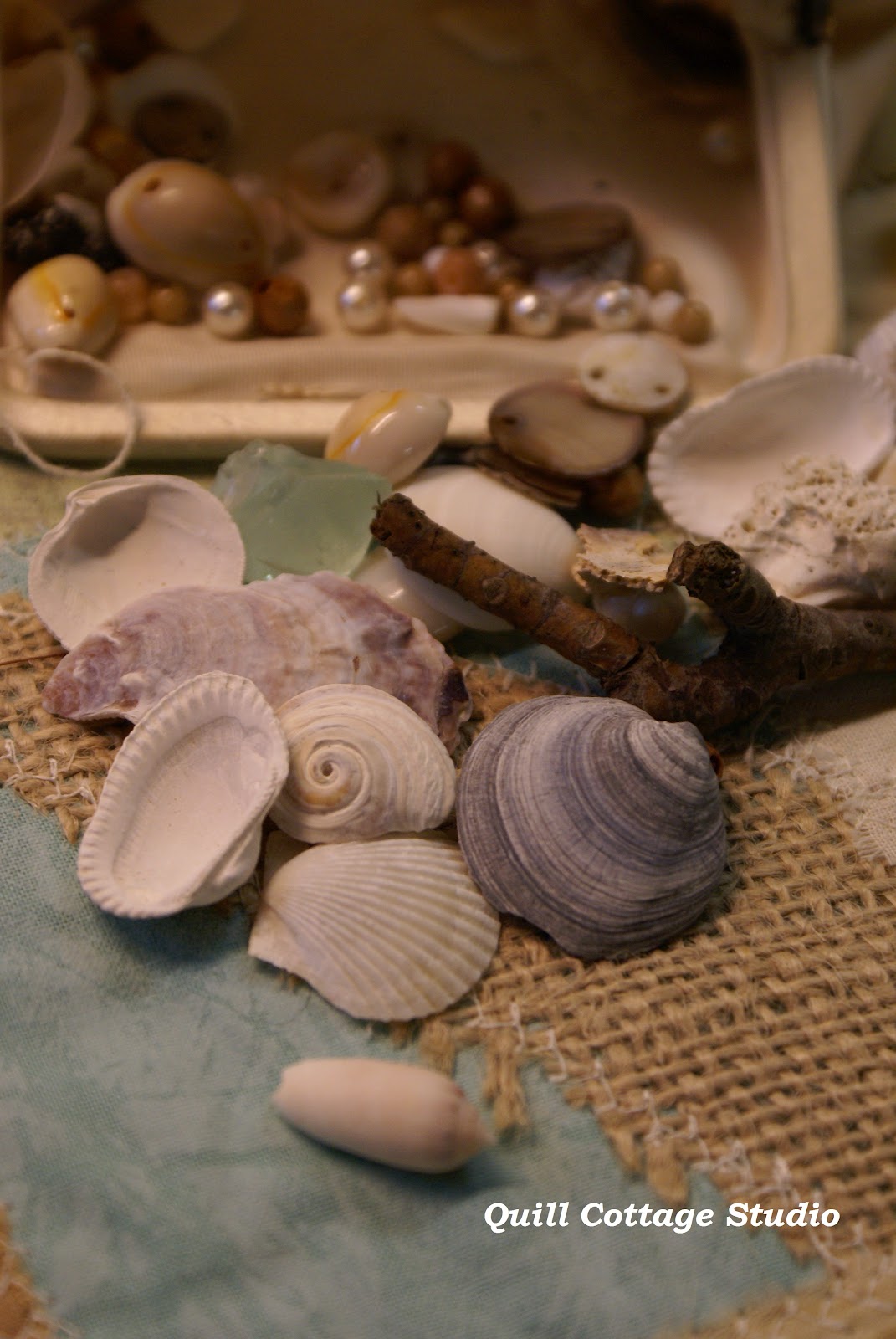 Quill Cottage: SEWING SEA SHELLS BY THE SEA SHORE...