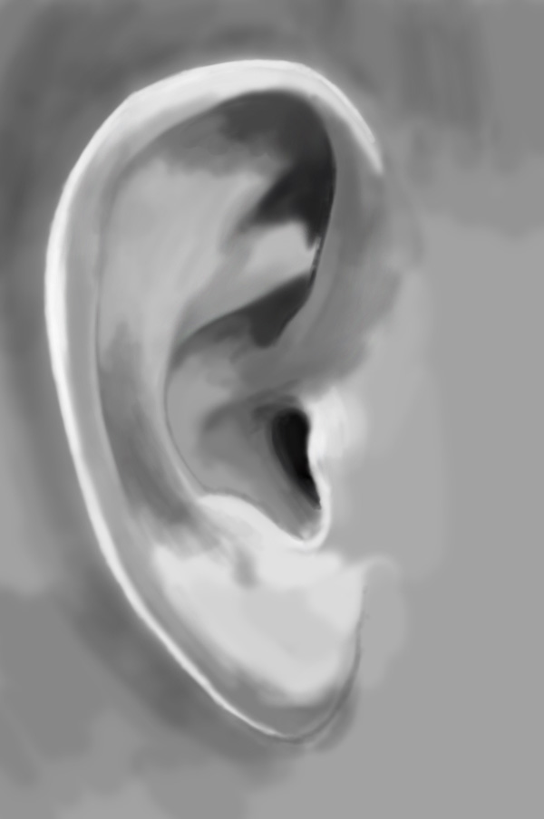 Draw Me Blog: How to draw an ear
