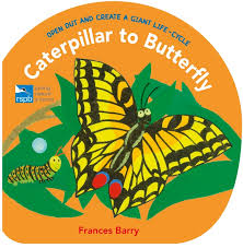Kids' Book Review: Review: Caterpillar to Butterfly