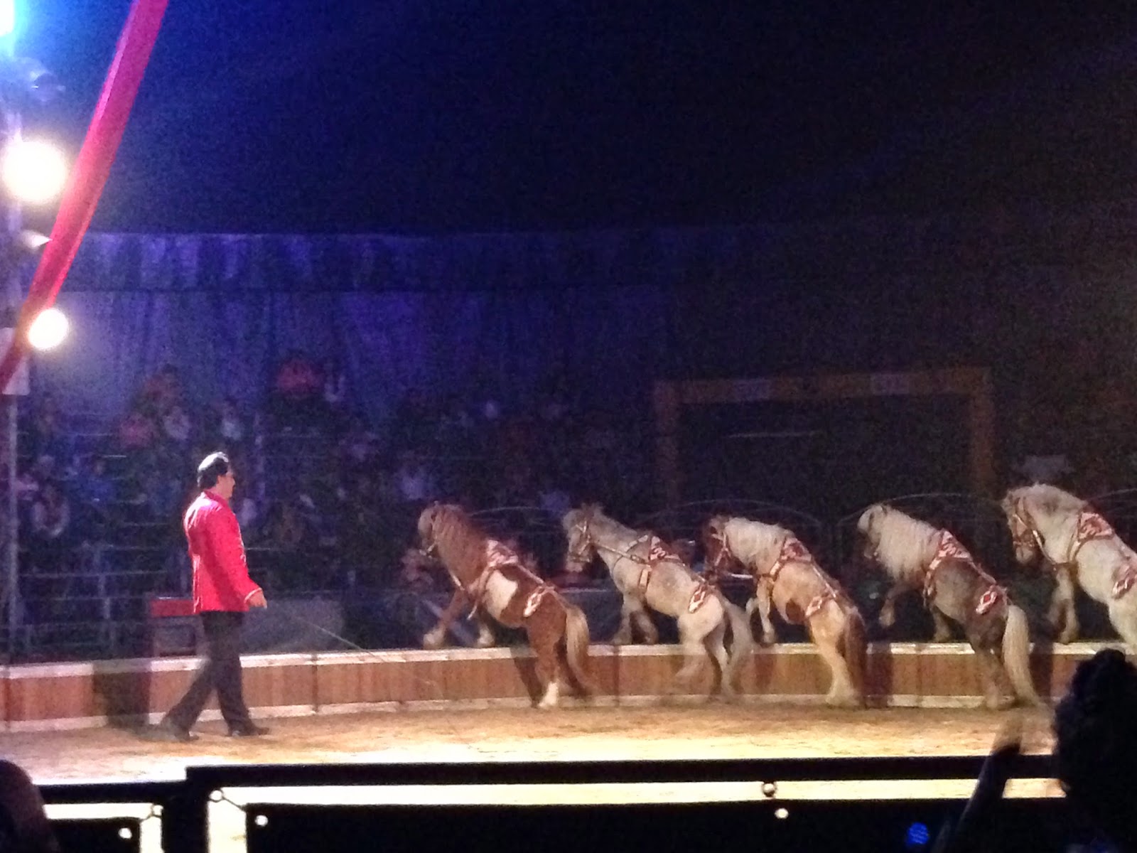 Student Teaching in Sayulita, Mexico: The Mexican Circus