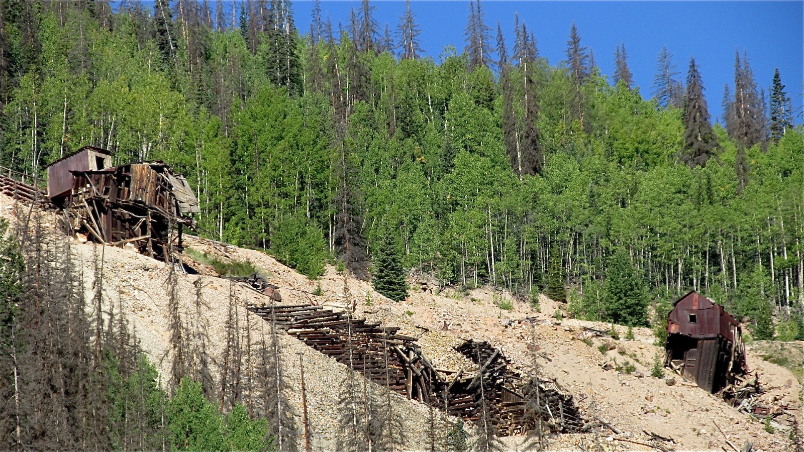 Travel With Whippets: Creede, Colorado --- The Bachelor Loop
