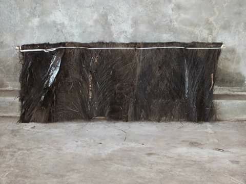 TENTANG IJUK: Cara Membuat Atap Ijuk