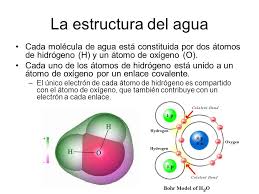 Estructura del agua ~ BITÁCORA DE UNA ESTUDIANTE DE NUTRICIÓN