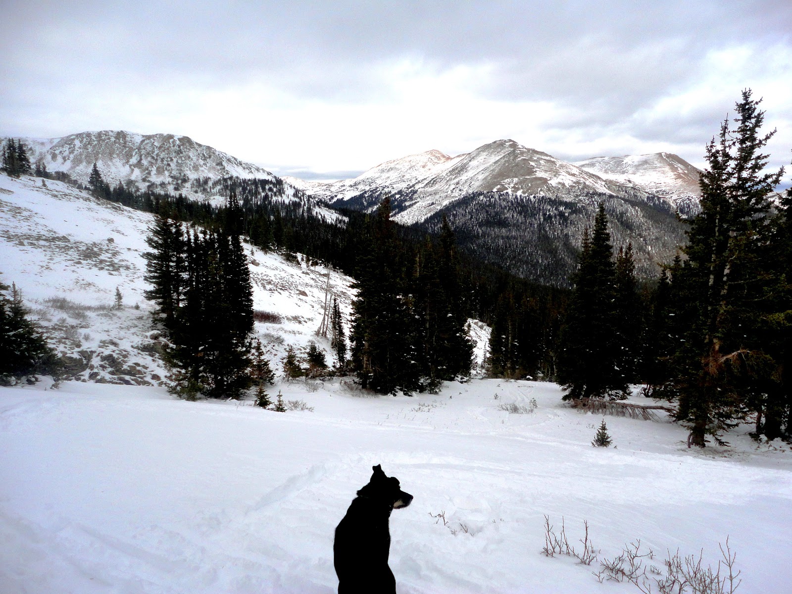 Butler Gulch Trail....SNOW! -Just a Colorado Gal
