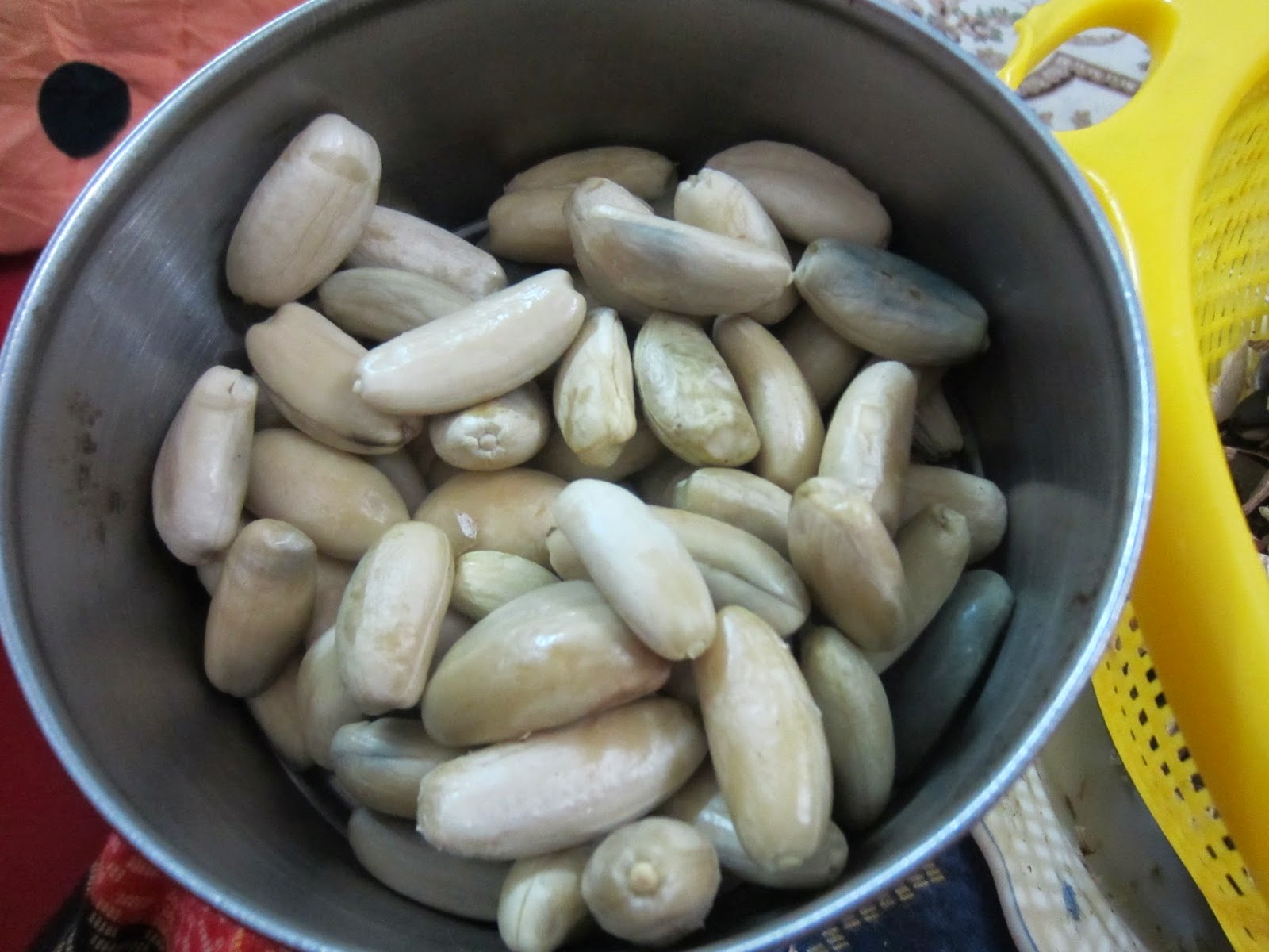 Catatan Monie: buah perah