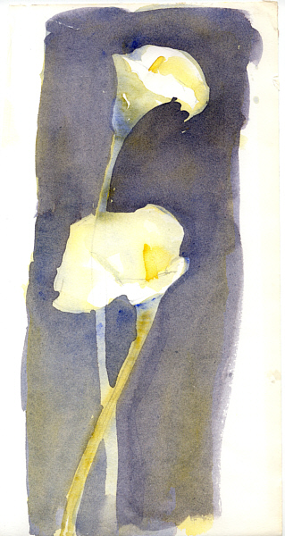 BubbleZone: Calla "gerahmt" (Aquarell)