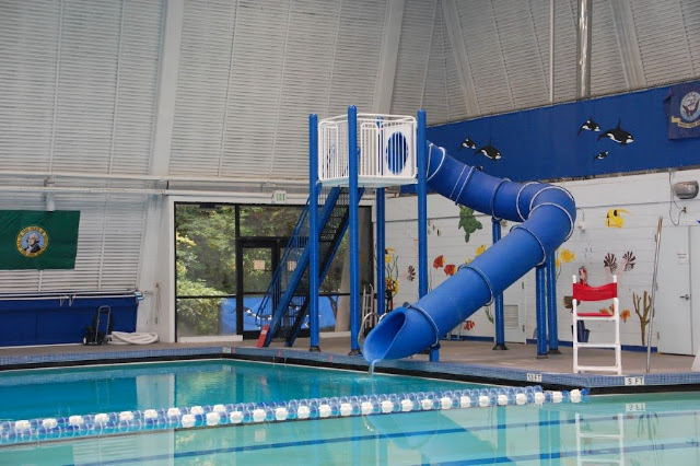 FreePlay Kids: Free Swimming and more at Bellevue Aquatic Center's ...