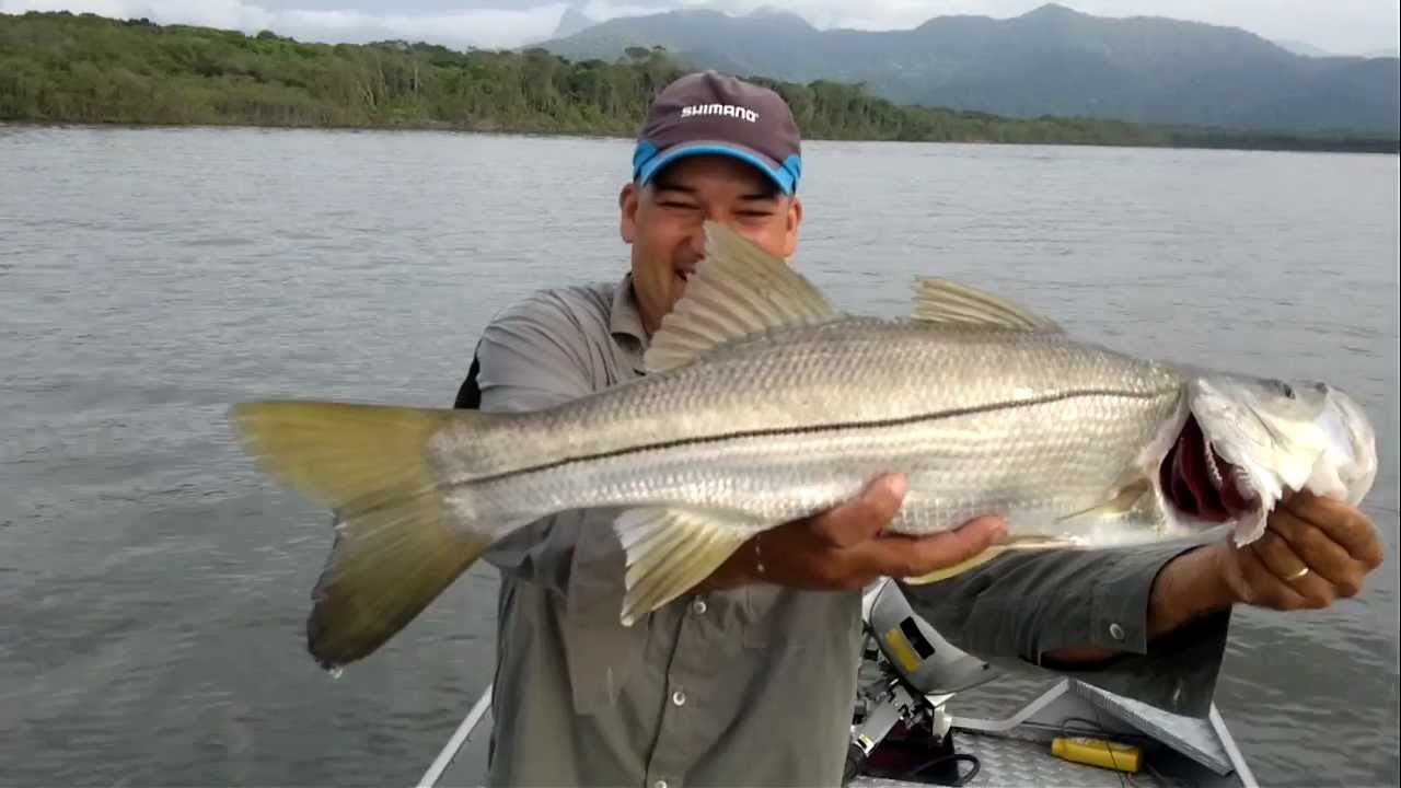 No Mar Profundo: Peixe Robalo Flecha - 02