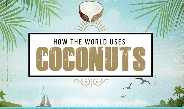 How the World Uses Coconuts #Infographic - Visualistan