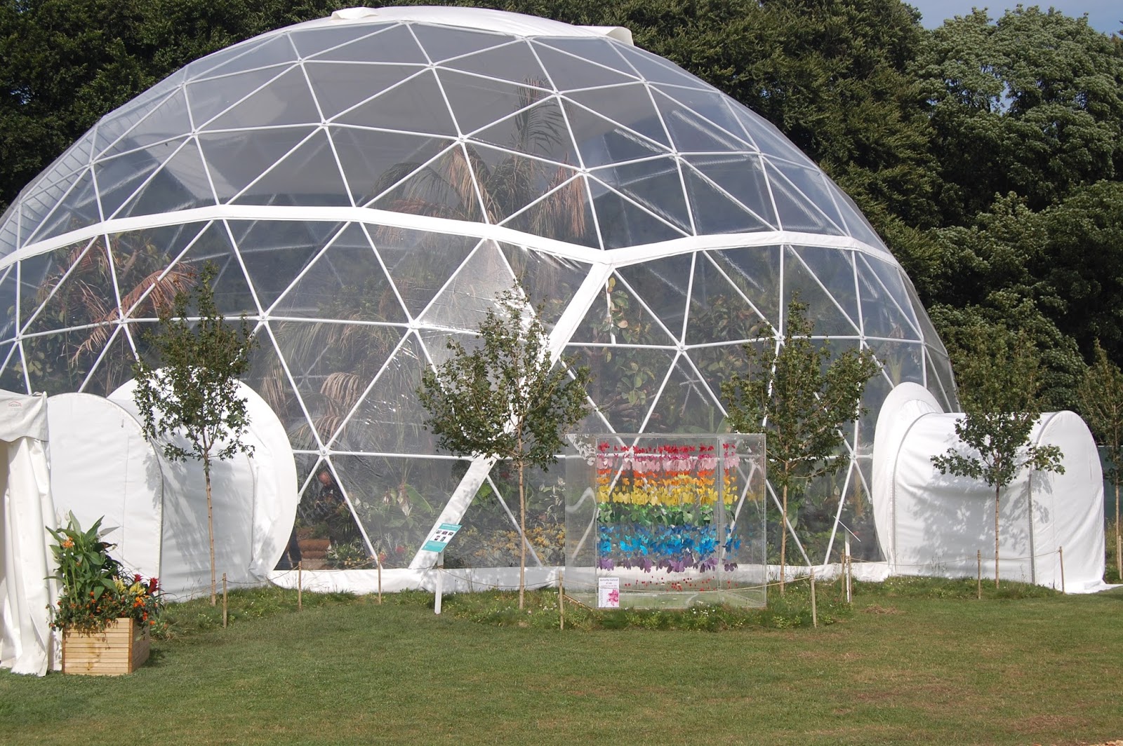 RHS Tatton Flowershow 2017: Butterfly Dome | Life on Pig Row