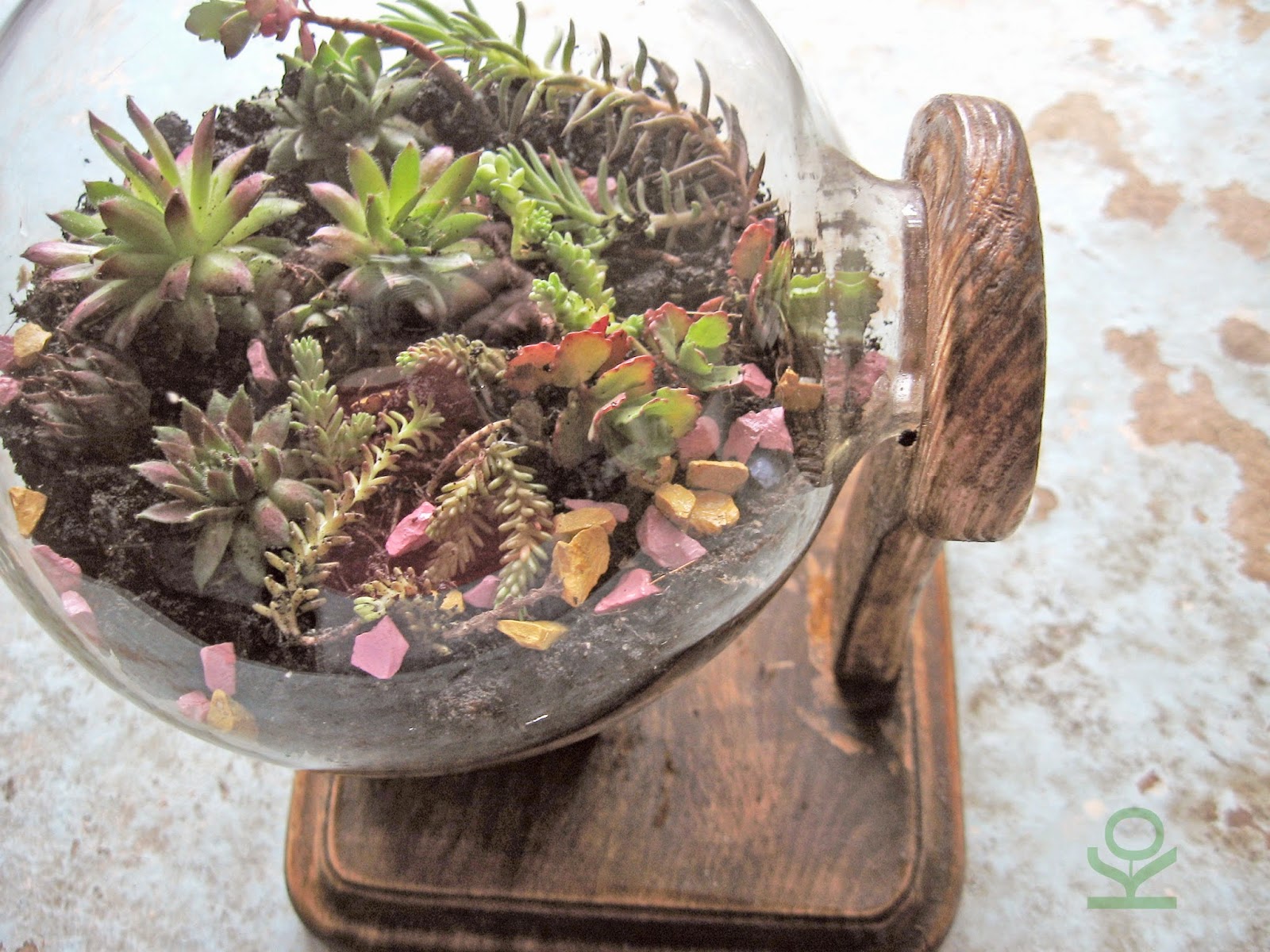Artisan workshop Ko: DIY Florarium for succulents