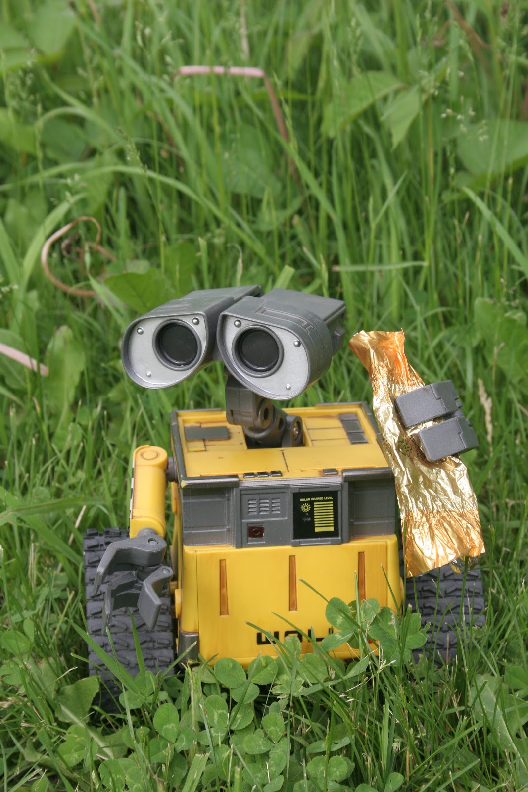 Vesper Luna: Wall-E Cleaning Up Oakledge Park