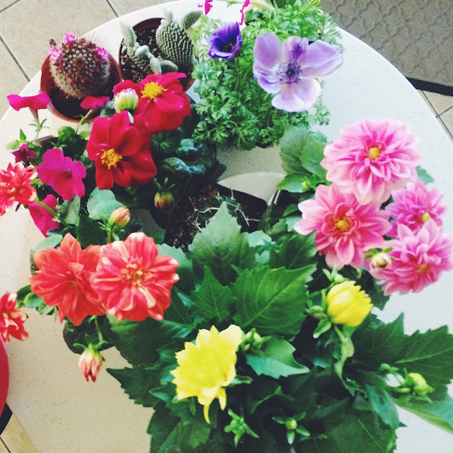 Rainbow Scrapbooks: Mexican Beach Fiesta Birthday Party Planning