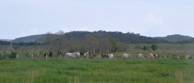 In Pinay's footsteps: CORON, PALAWAN, PHILIPPINES I: CORON TOWN and ...