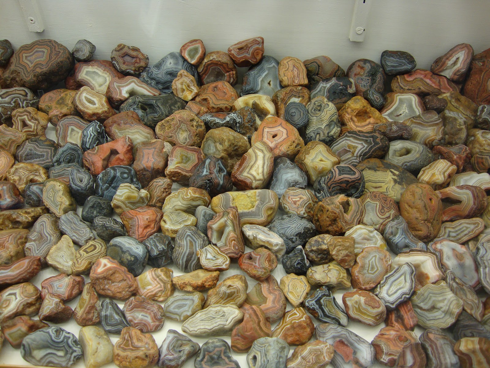 CSMS GEOLOGY POST: AGATES AT THE AFMS
