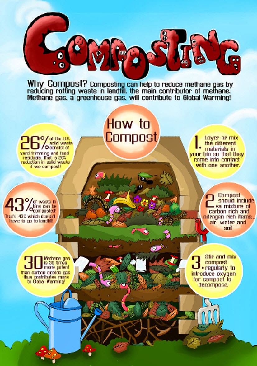 Meherabode Garden : Composting - the Theorem of the Worm