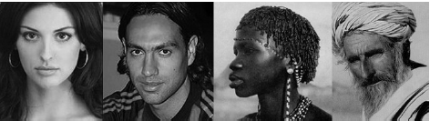 Klasifikasi Ras - Budhii WeBlog