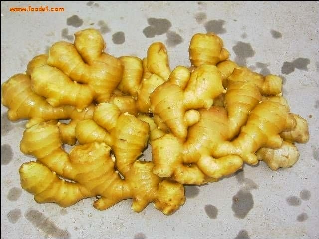 HALIA - INFO KESIHATAN