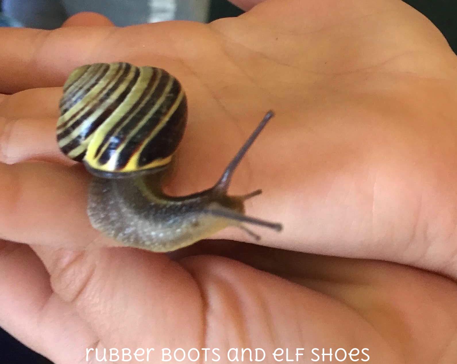 snail learning activities - rubber boots and elf shoes