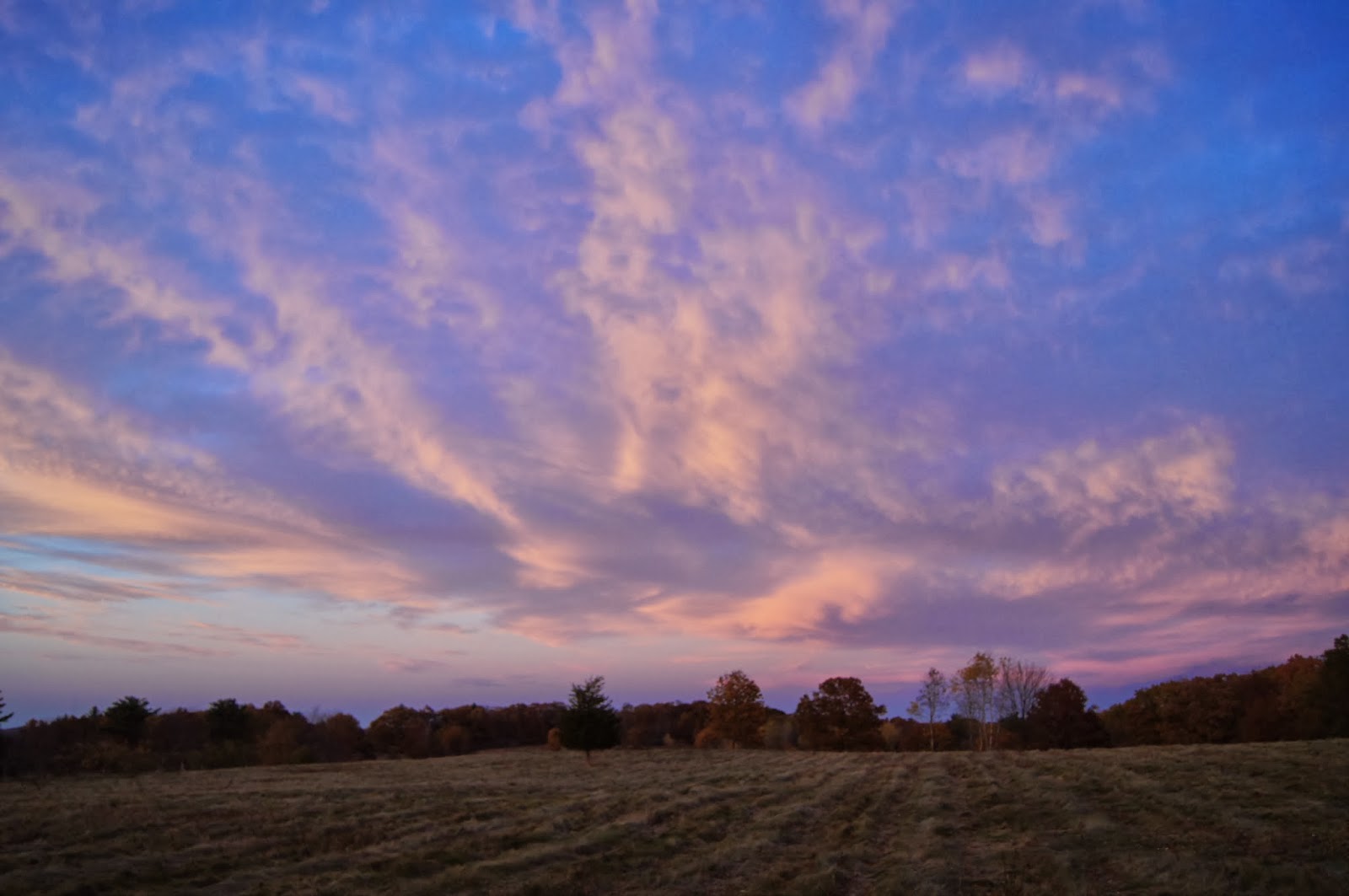 Things with Wings: Sunset at Breakneck Hill