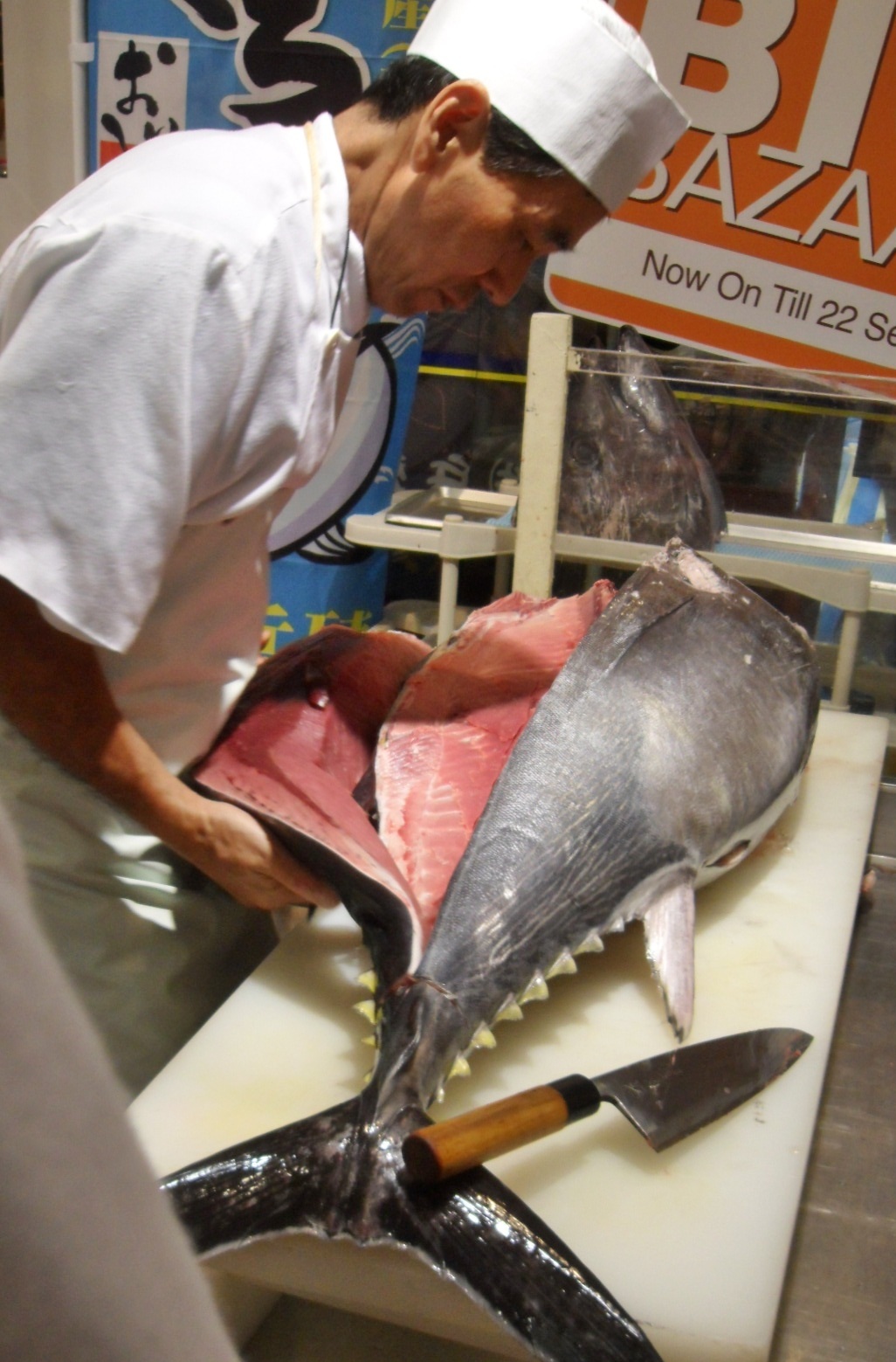 ac_cuisine_dairy: Giant Tuna Fish