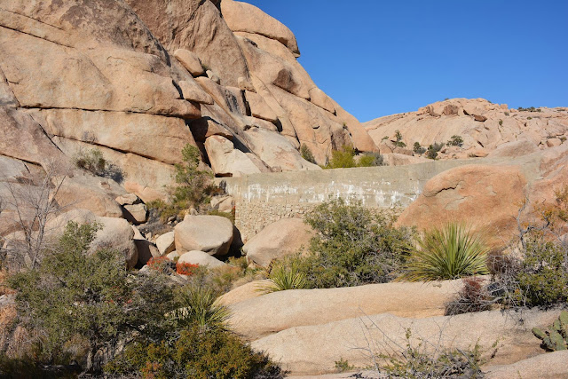 Patrick Tillett: Barker Dam and Disney Petroglyphs - Joshua Tree NP