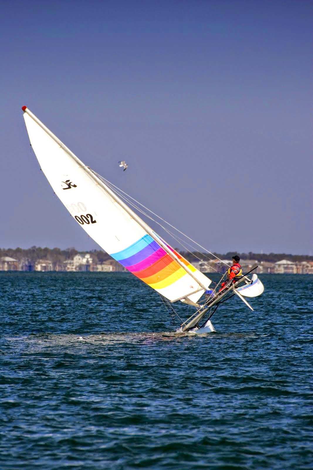 HOBIE FLEET 178, Fort Walton Beach, FL