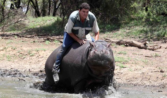 >: Exotic and Weird Pets