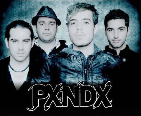 PXNDX: PXNDX 2011