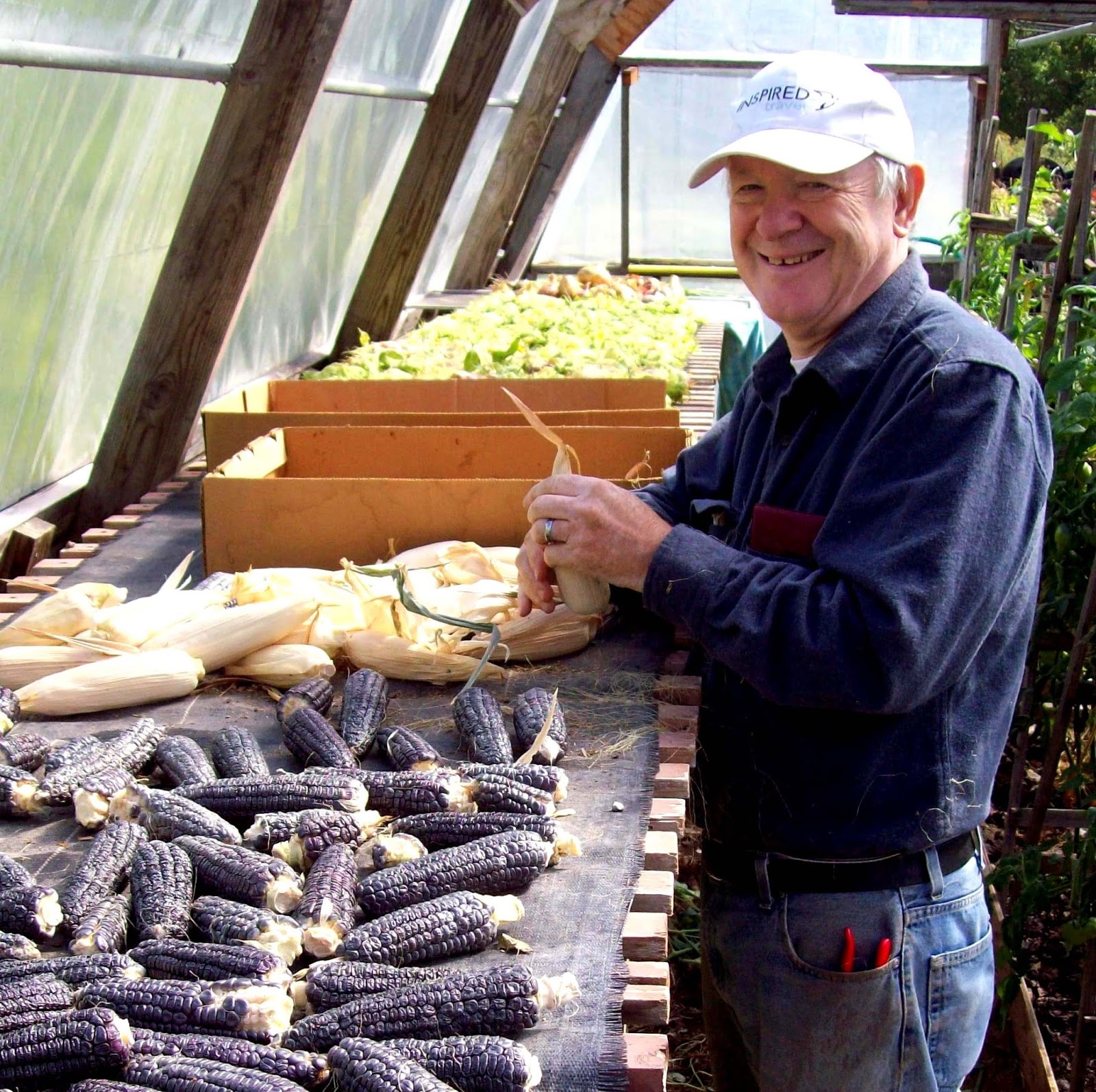 "Sharing Gardens": Grow Your Own 'Blue Corn'