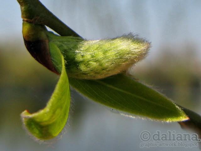 Photographis: February 2011