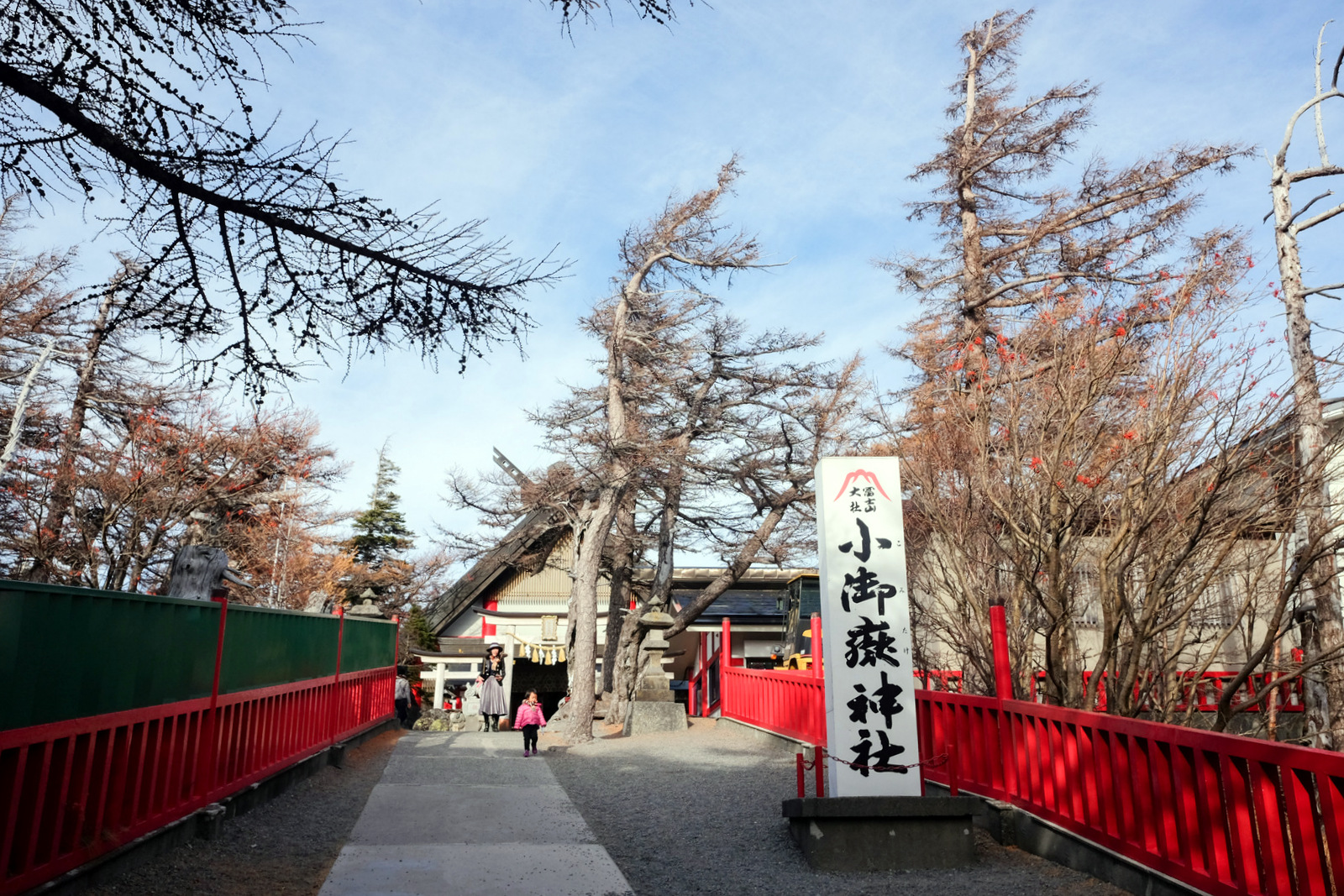 Eat Drink KL | Mount Fuji Soft Serves @ Japan