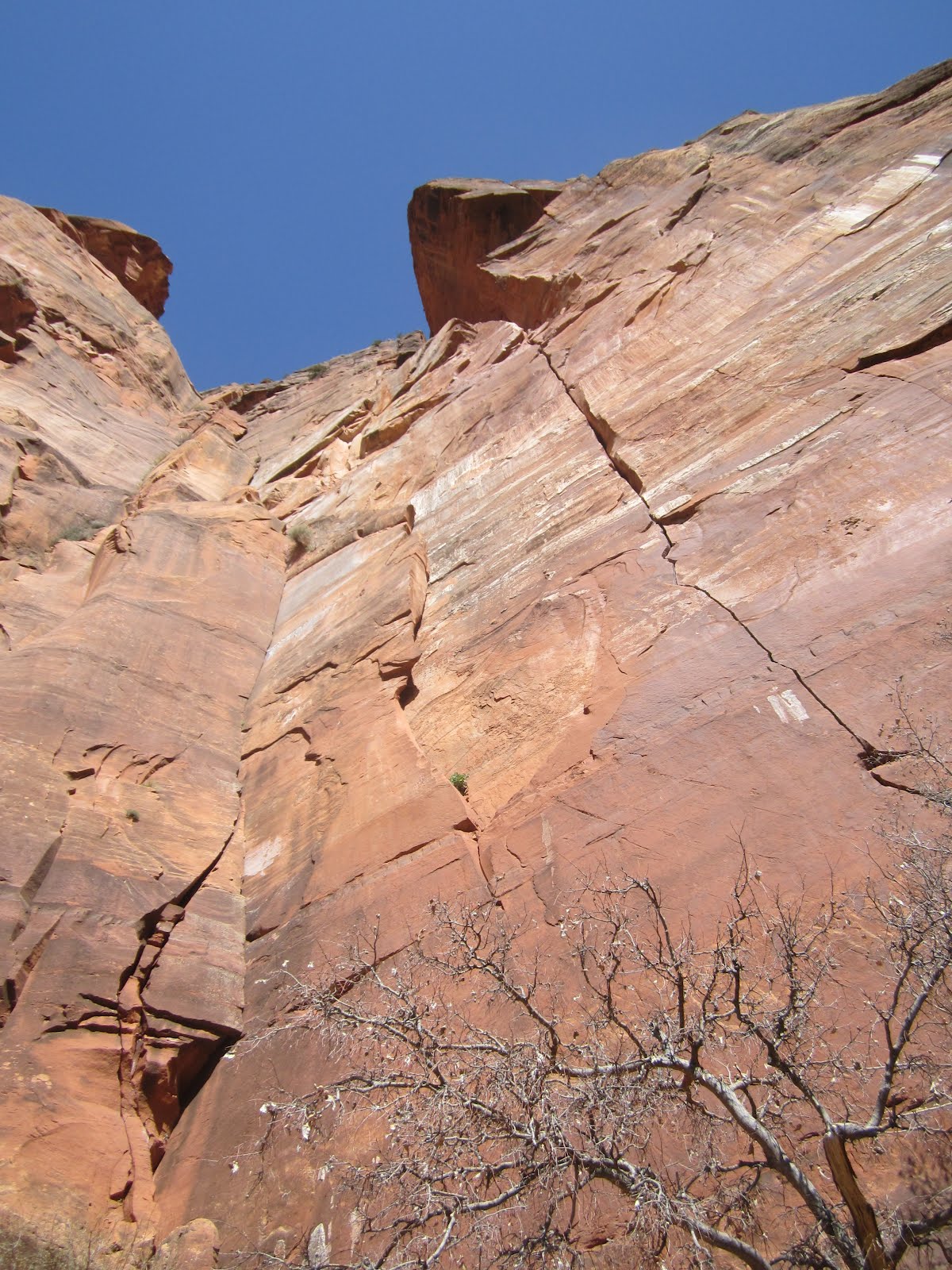 Bay Area Climbing - All Things Beta!: Zion National Park
