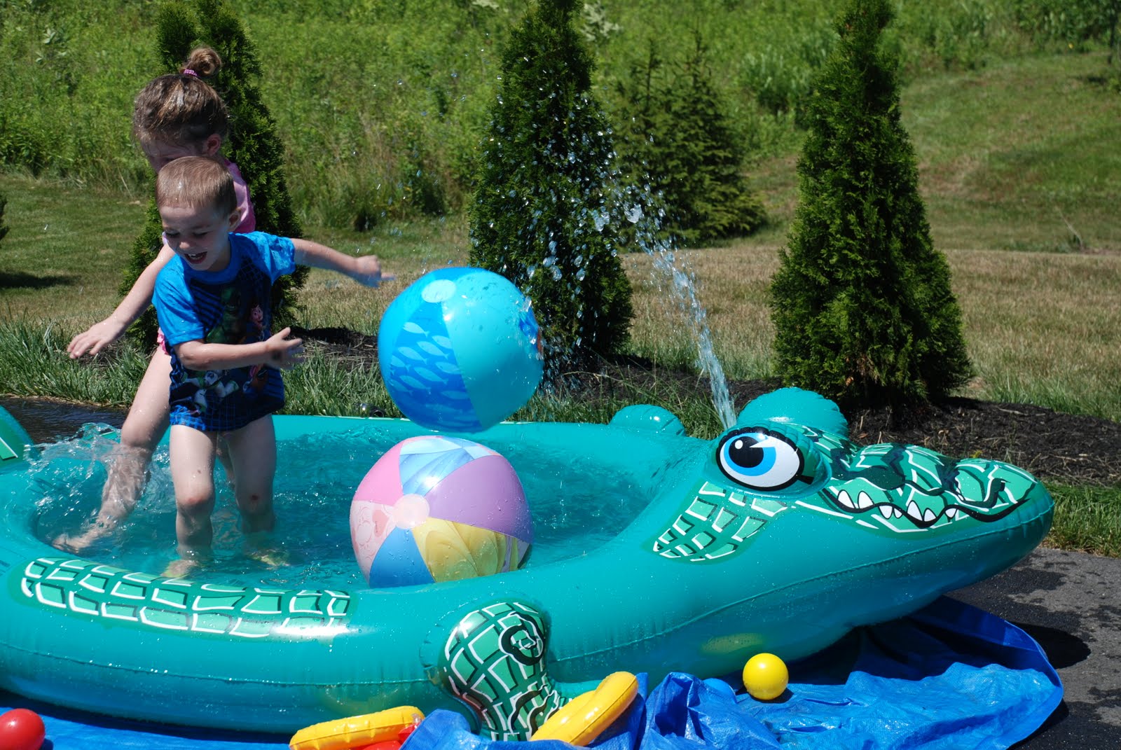 Busy Lee Family: Alligator!