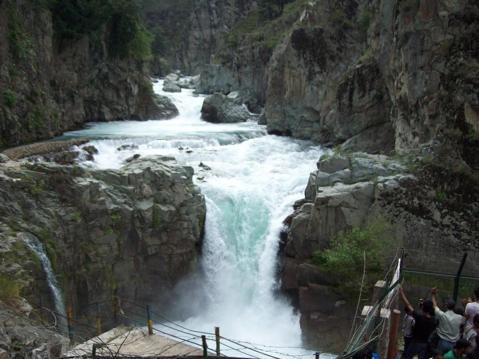 CHINAR SHADE : SHOPIAN: A NEW DISTRICT OF OUR STATE