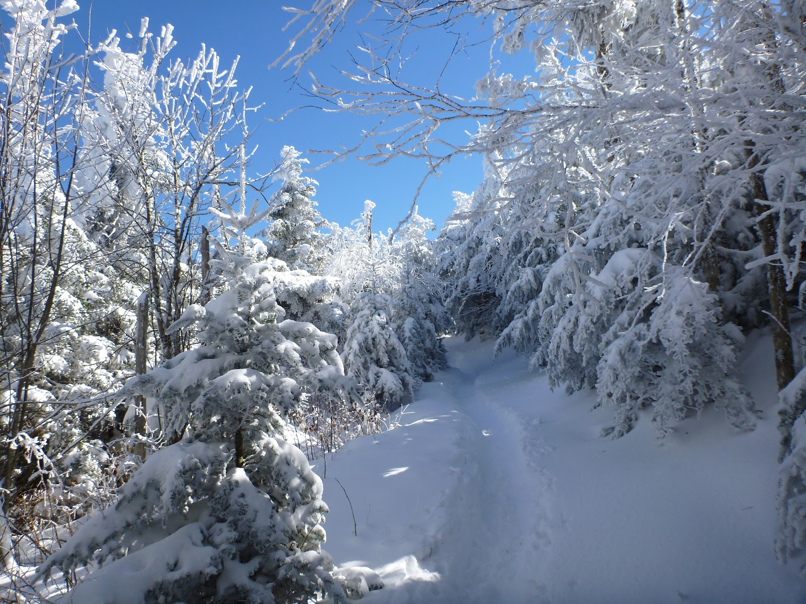 GSMNP - HIKER: Hike To Mt. LeConte Via Rainbow Falls After 3 Ft. Of ...