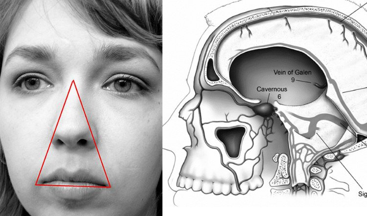 Interesting Green: Face's 'danger triangle'