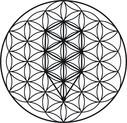 IVA KENAZ: SACRED GEOMETRY BASICS