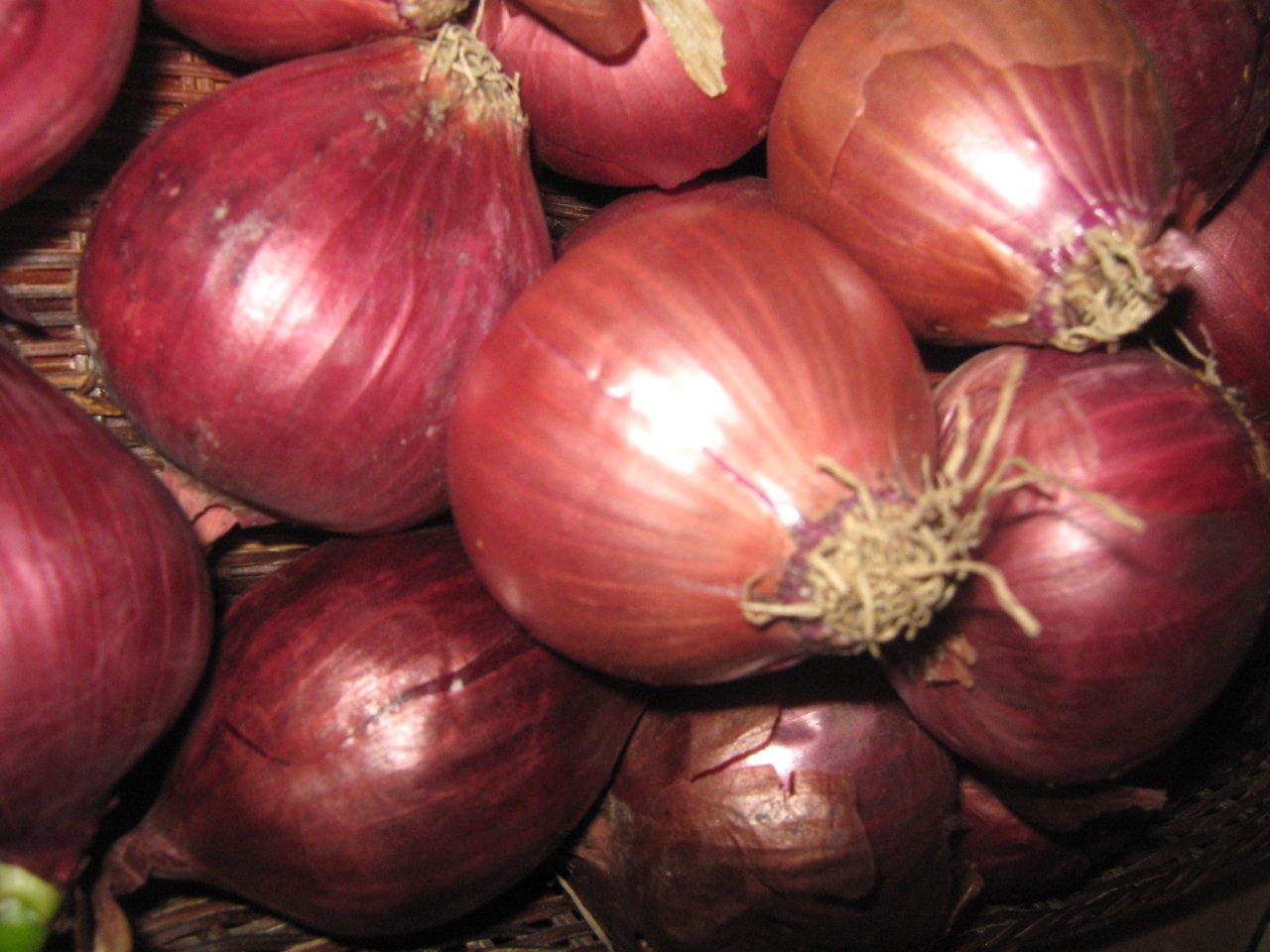 Rozmaring & ibolya: Francia hagymaleves