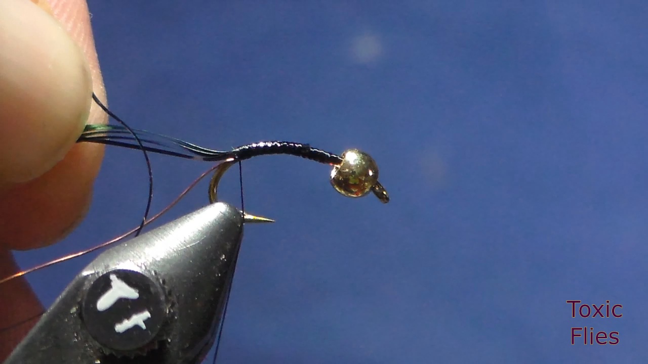 Fly Patterns: Red Peacock
