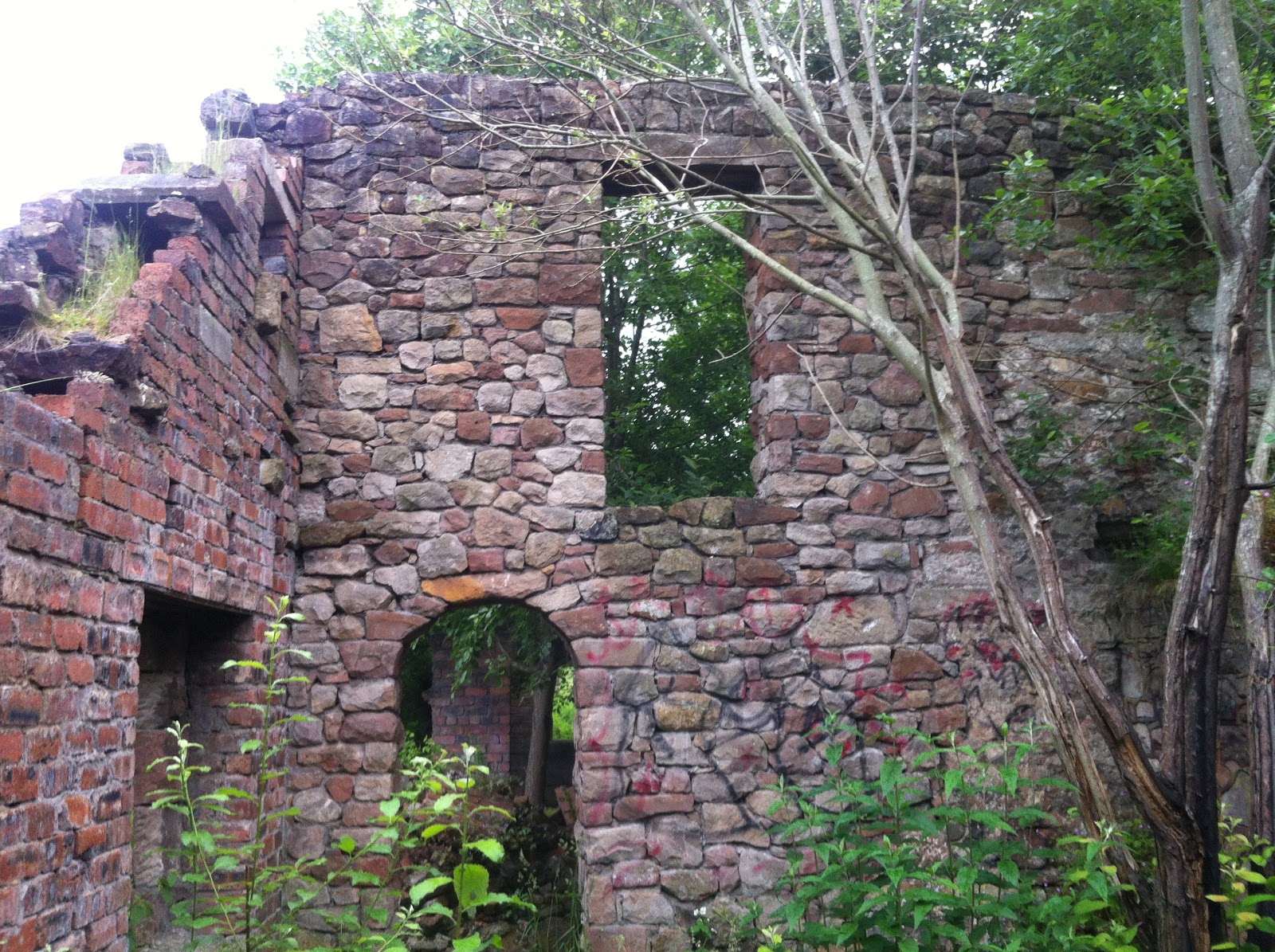Visions of a Madman: In Ruins: Abandoned Houses in Carmyle