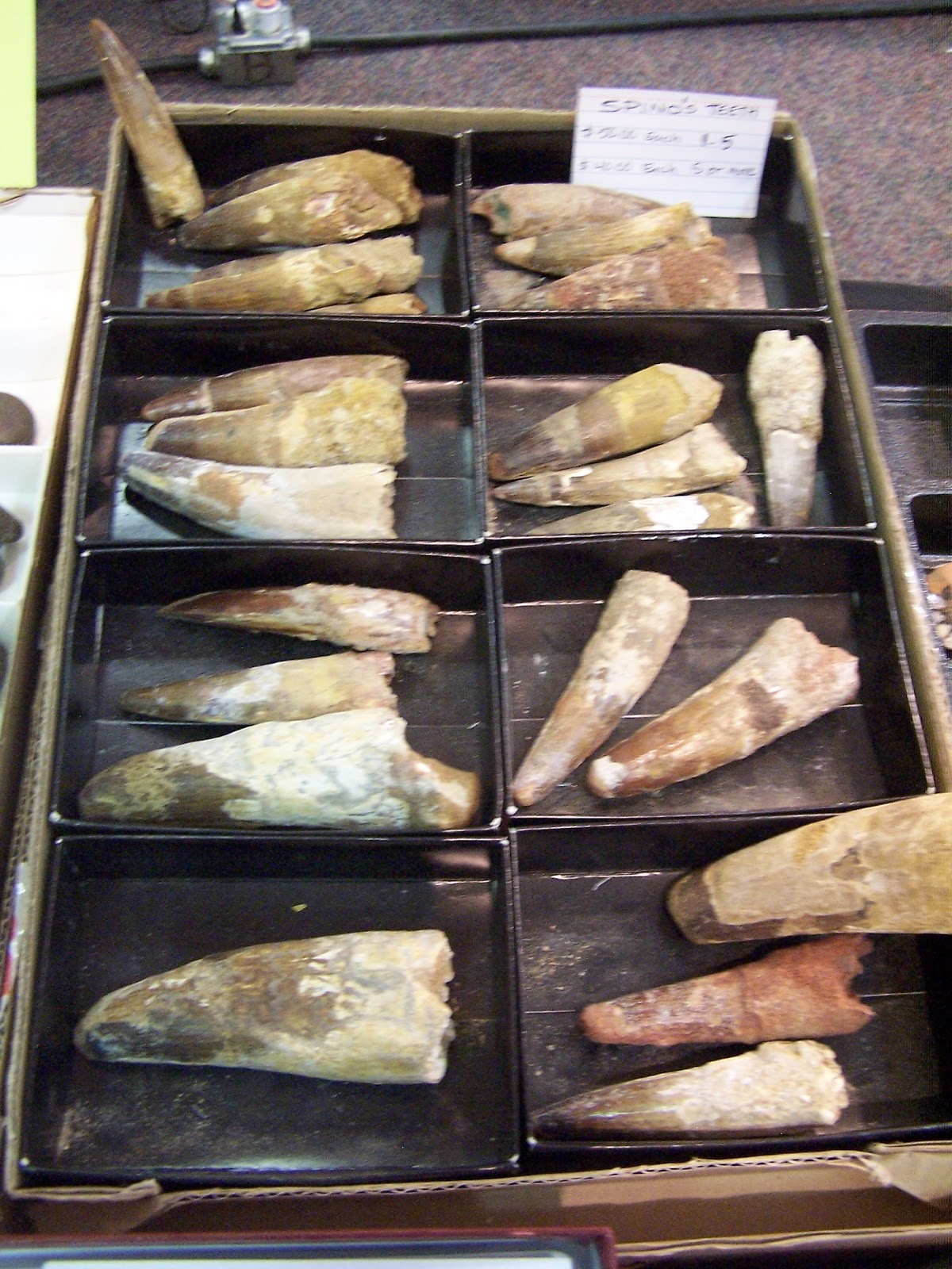 The Natural World: The Denver Gem and Mineral Show Part 2: The ...