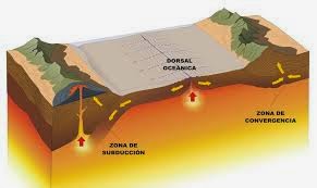 EL CICLO DE WILSON: EL CICLO DE WILSON