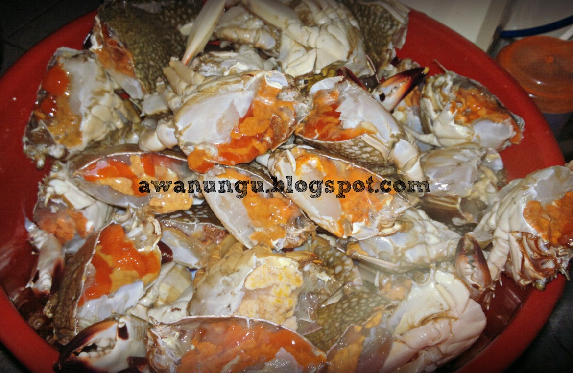 Cara bezakan jantina ketam