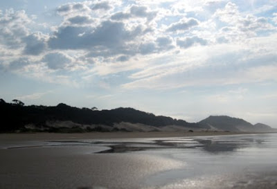 Art Propelled: HUNDREDS OF WAYS TO KNEEL AND KISS THE GROUND