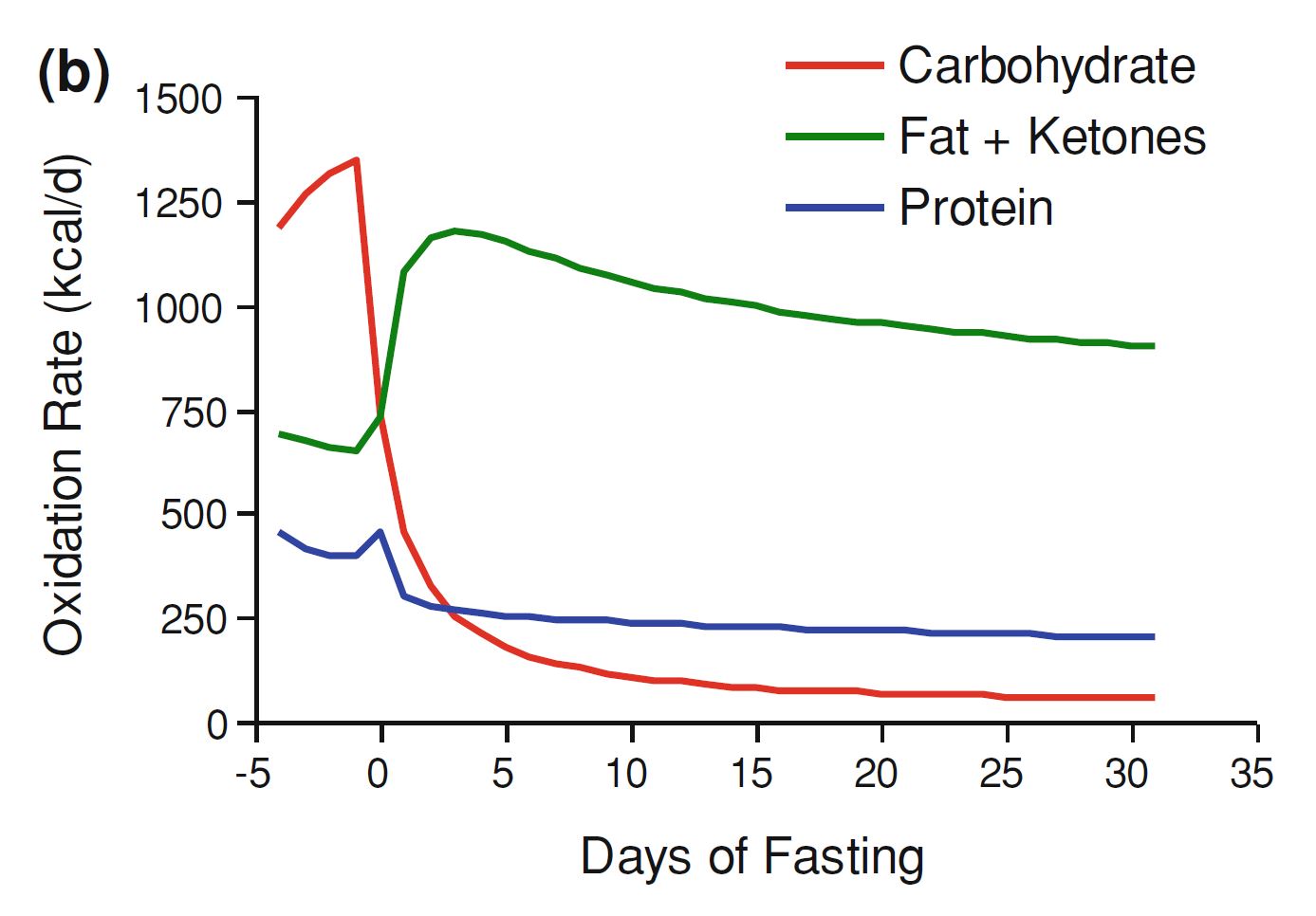 Whole Health Source: More Thoughts on the Recent Low-fat vs. Low-carb ...