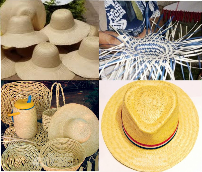 v e r d e c h a c o: Palmera Caranday